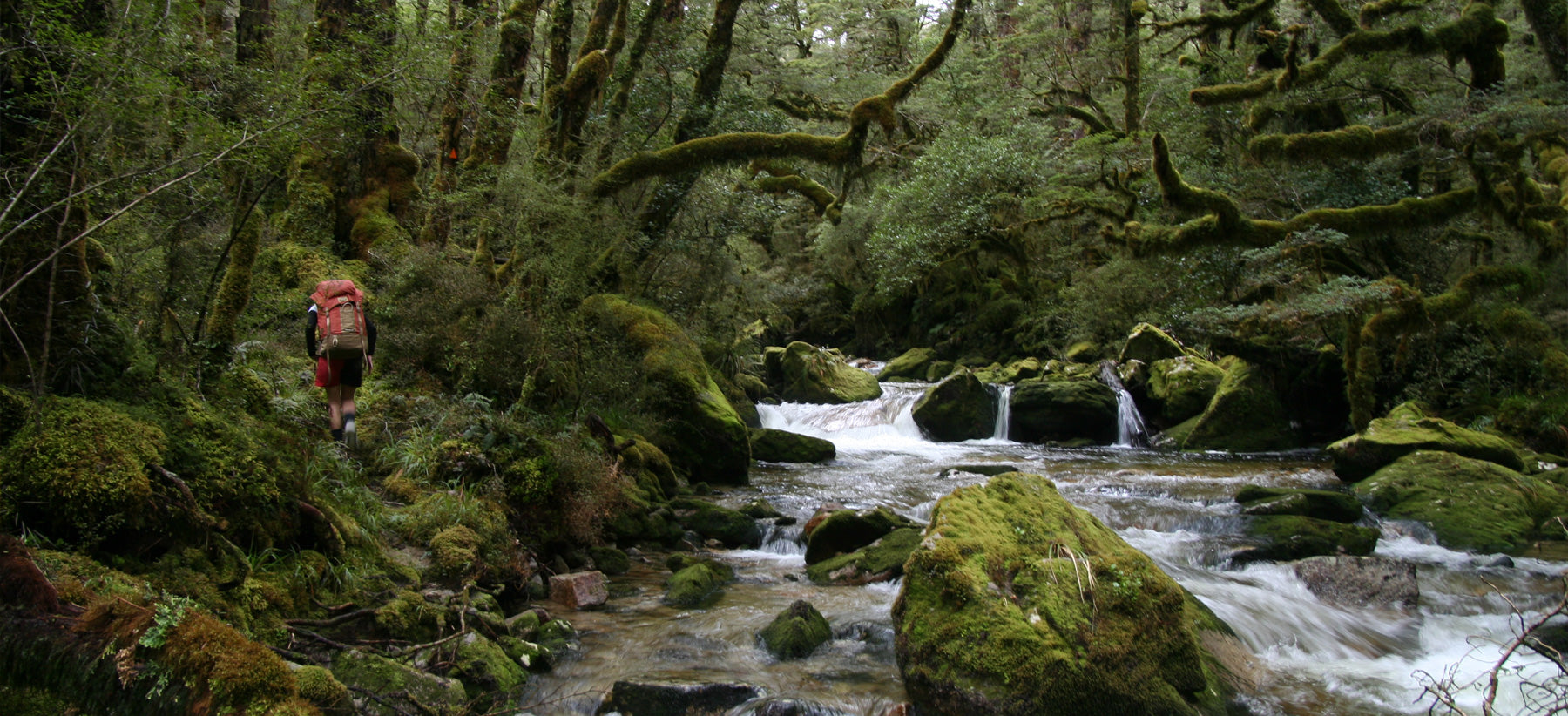 Trap Tools – Trap Tools Ltd